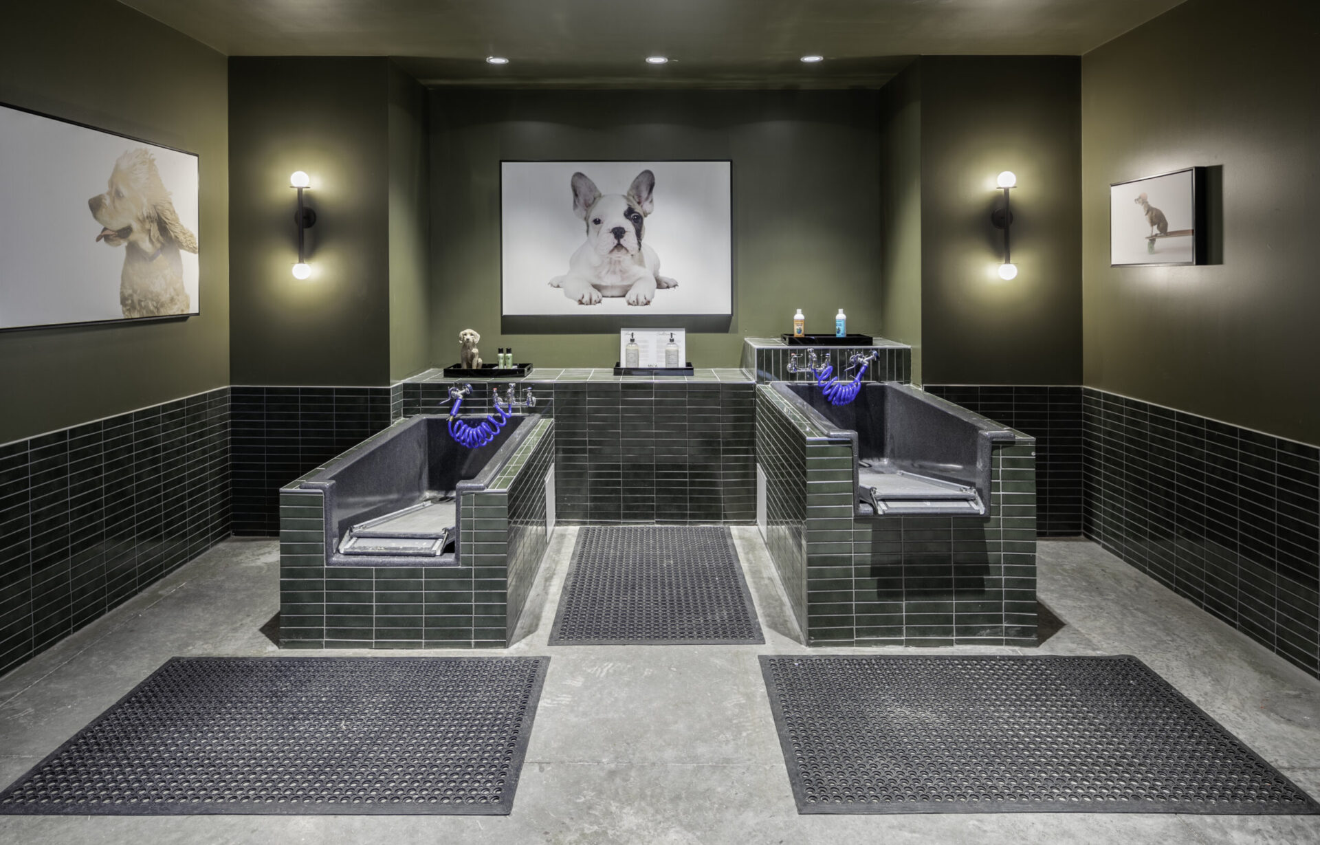 Amenities - Mica Rino